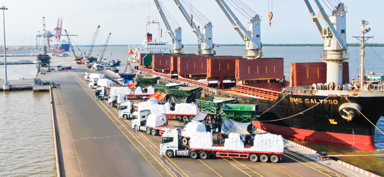 Bulk & General Cargo - Long An International Port